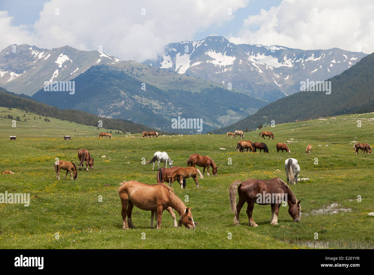 Spain, Catalonia, Val d'Aran, Salardu, the Pla de Beret plateau ...