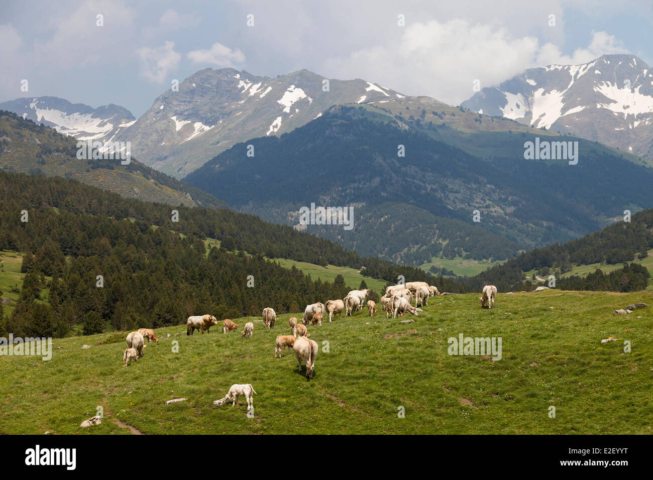 Spain, Catalonia, Val d'Aran, Salardu, the Pla de Beret plateau ...