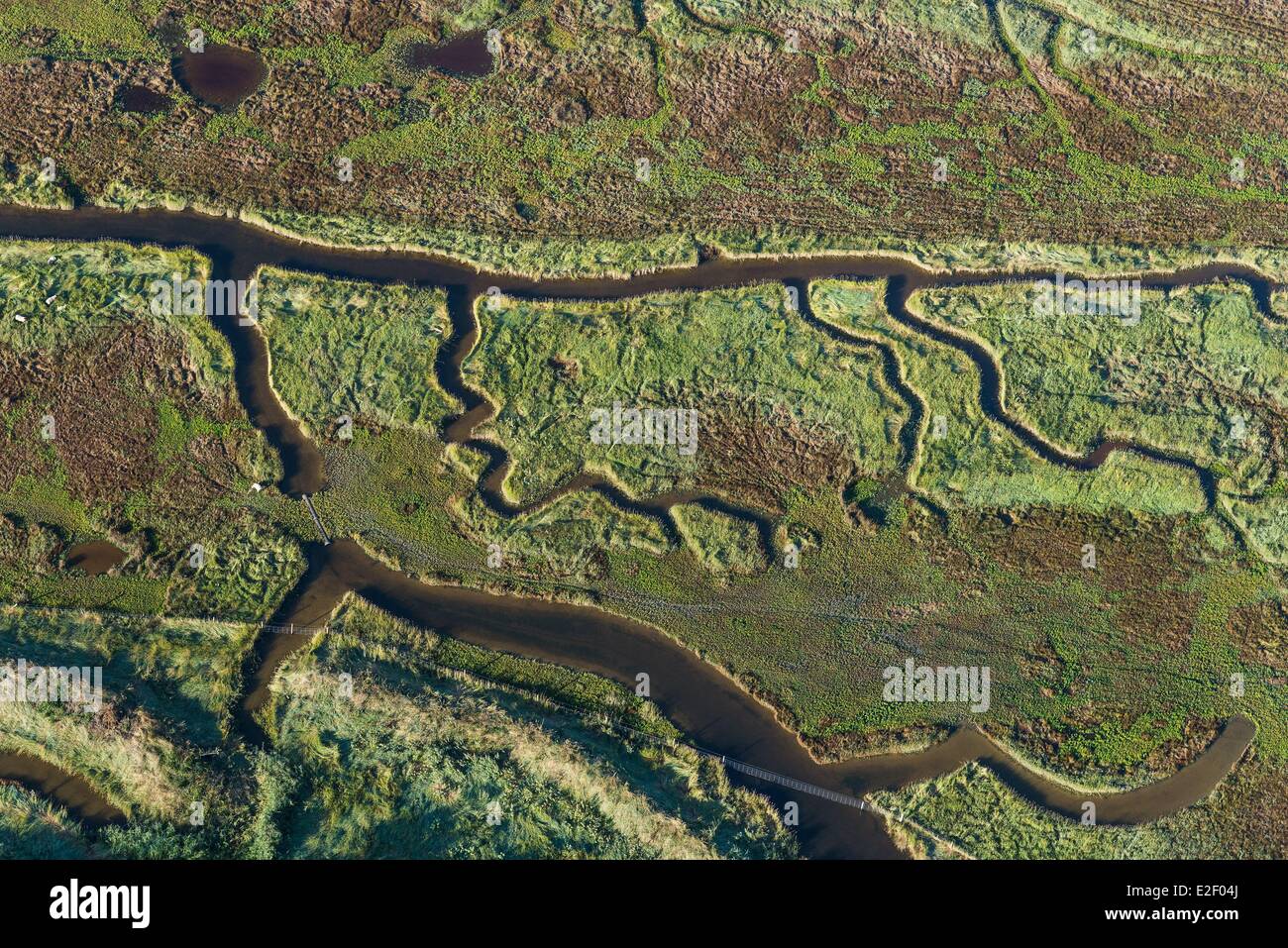 France, Calvados, Merville Franceville Plage, channels in the marshes ...