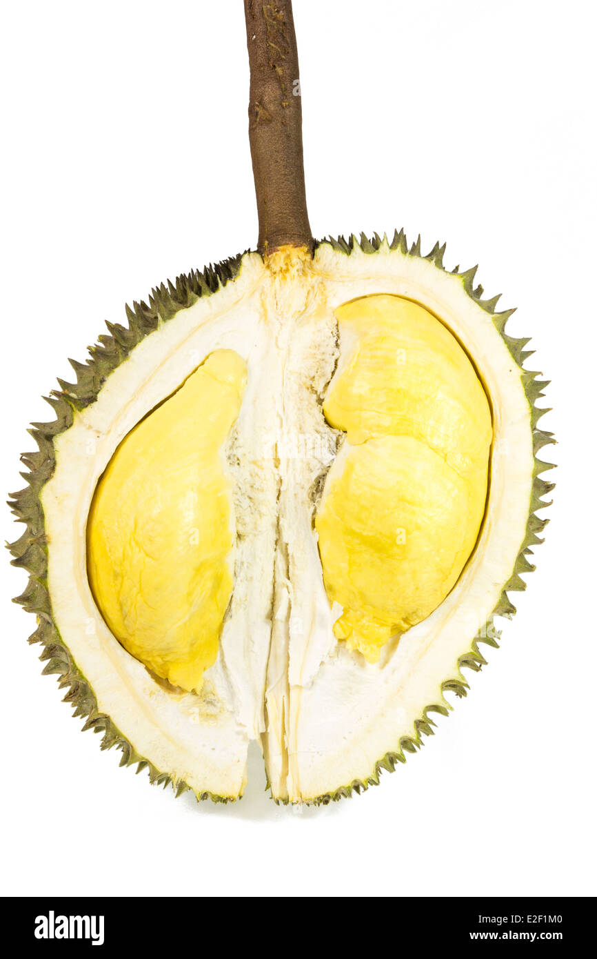 Durian isolated on white background Stock Photo - Alamy