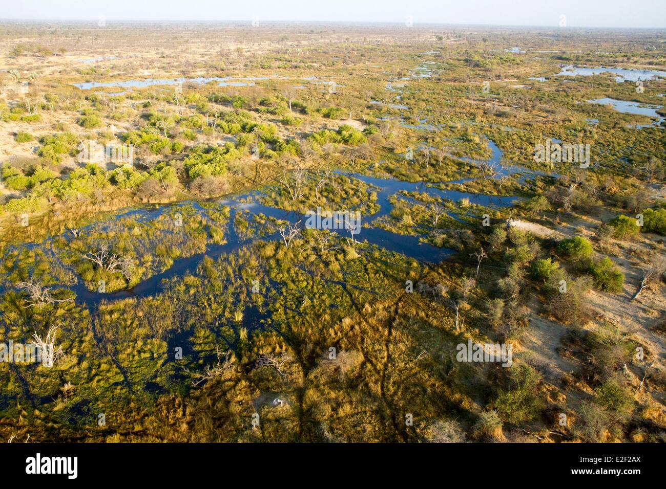 Botswana, Okavango delta (aerial view Stock Photo - Alamy