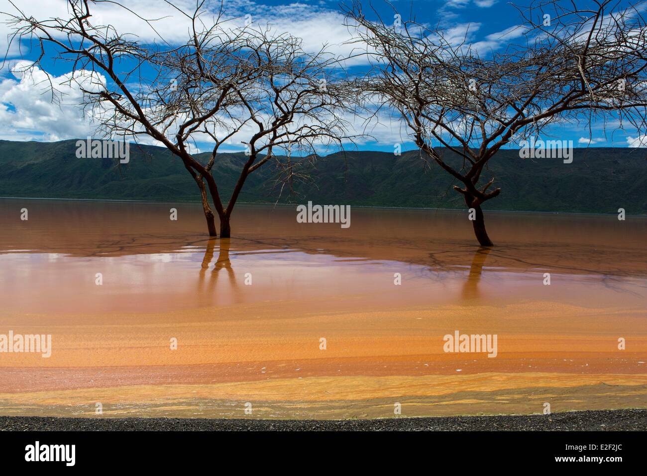 Lake bogoria hi-res stock photography and images - Alamy