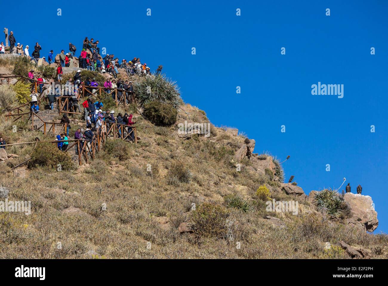 Peru, Arequipa Department, Colca Canyon, the Condor's Cross (Cruz del ...