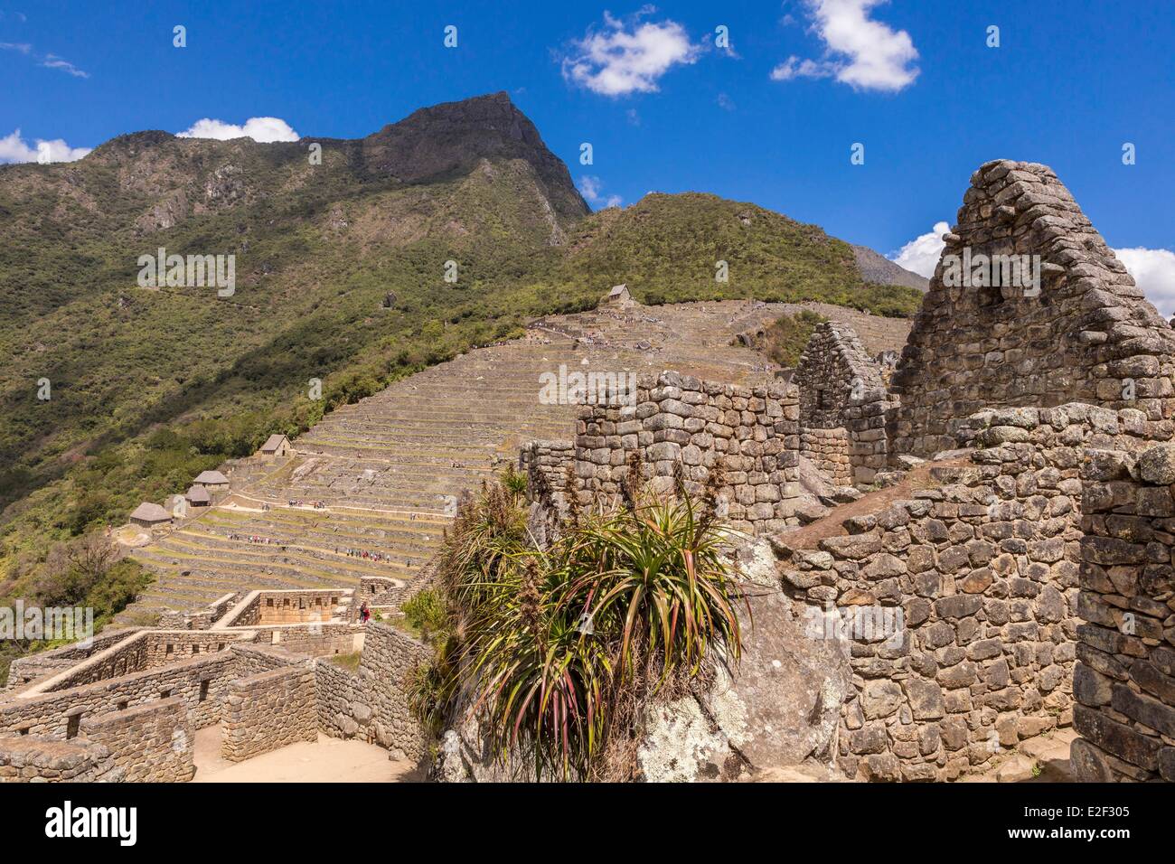 Peru Cuzco Province the Sacred Valley of the Incas Inca archaeological ...