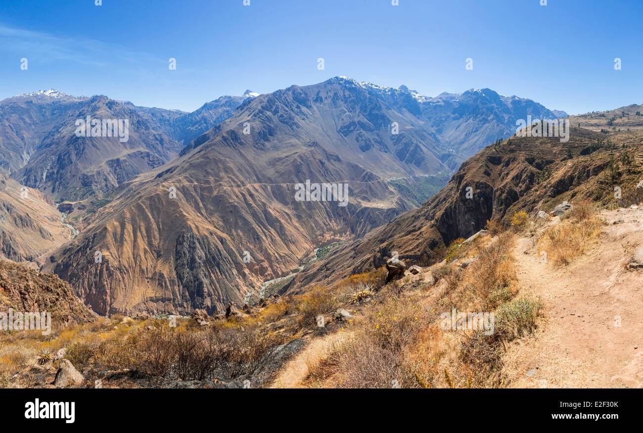 Peru, Arequipa Department, Chivay, the Inca terraces of Colca Canyon ...