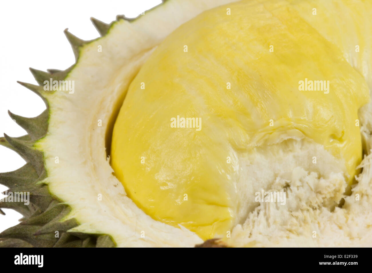 Durian isolated on white background Stock Photo - Alamy