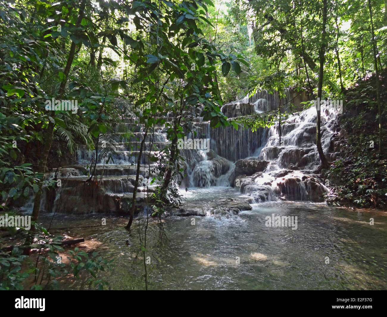 Mayan jungle hi-res stock photography and images - Alamy