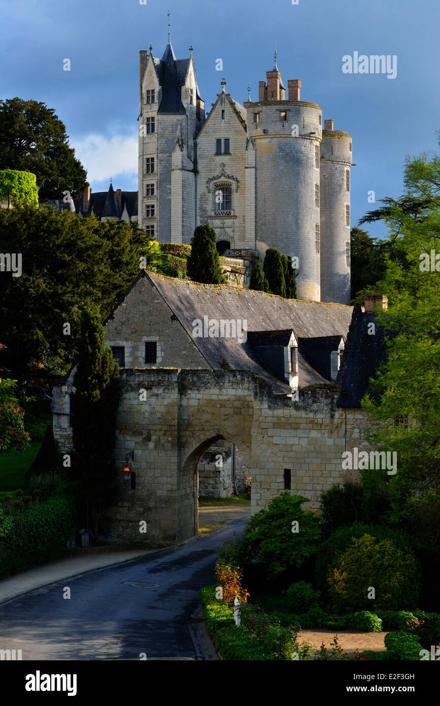 Maine anjou hi-res stock photography and images - Alamy