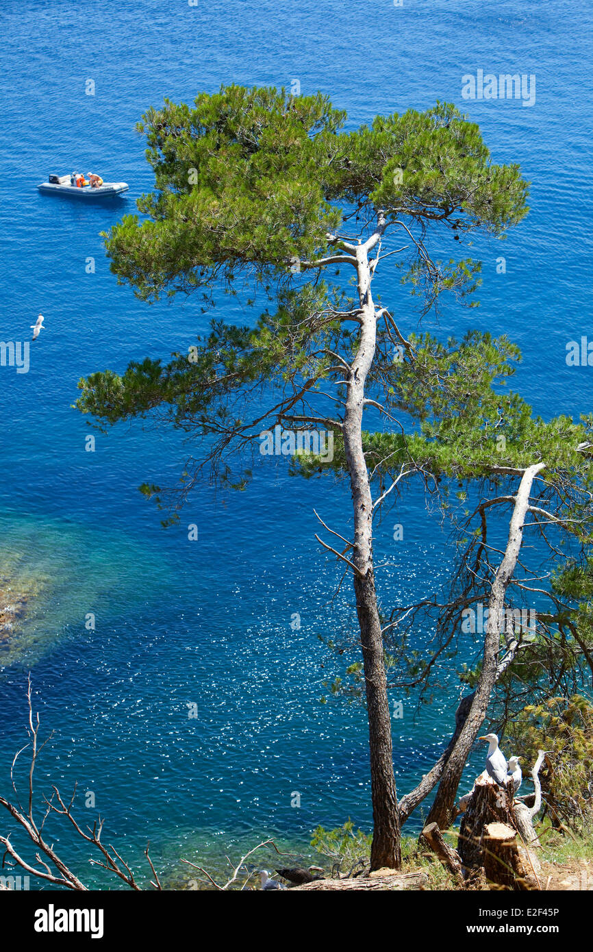France, Bouches du Rhone, Calanques National Park, La Ciotat, Green ...