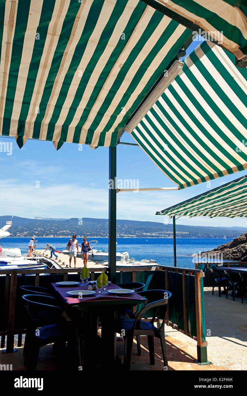 France, Bouches du Rhone, Calanques National Park, La Ciotat, Green ...