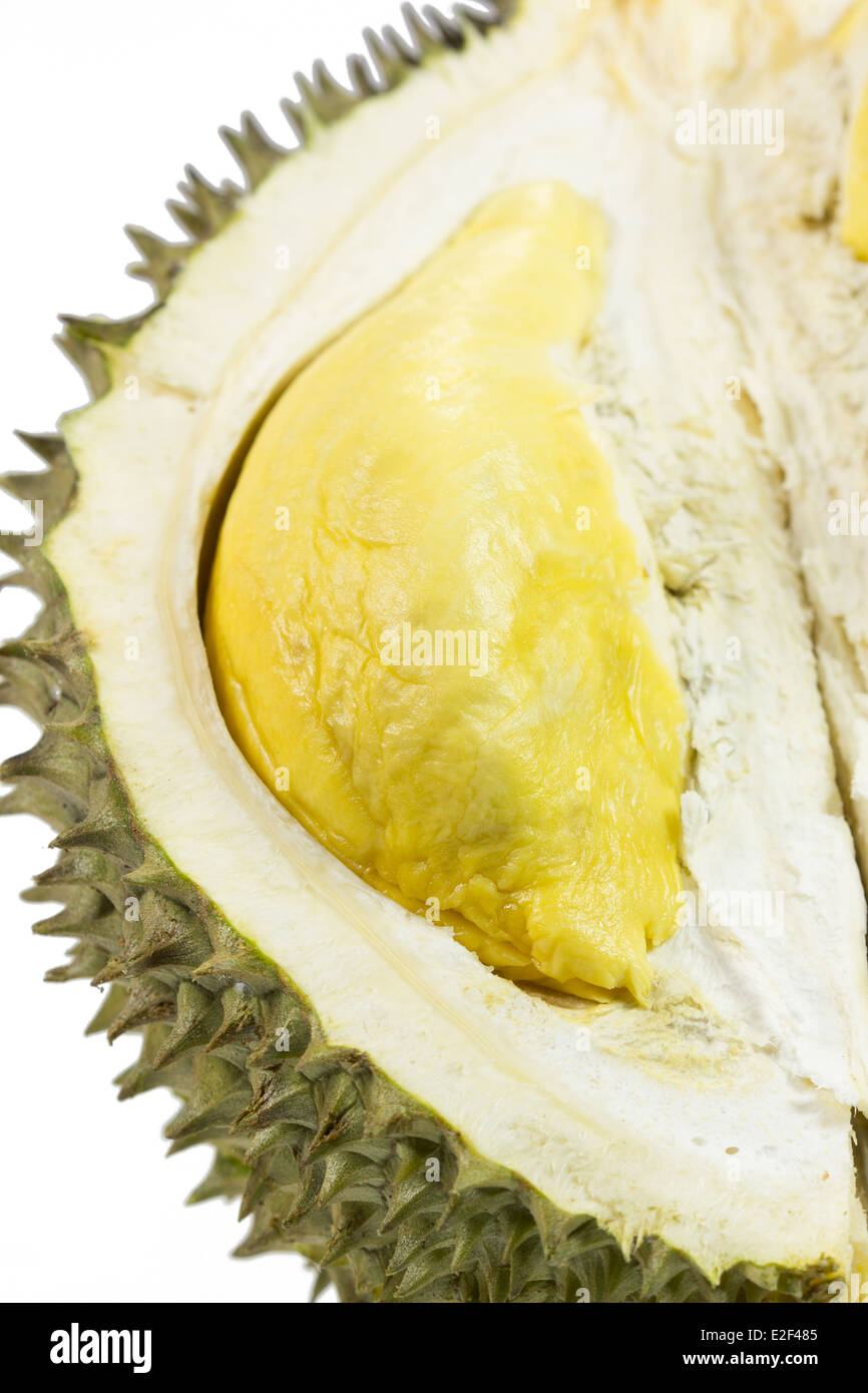 Durian isolated on white background Stock Photo - Alamy