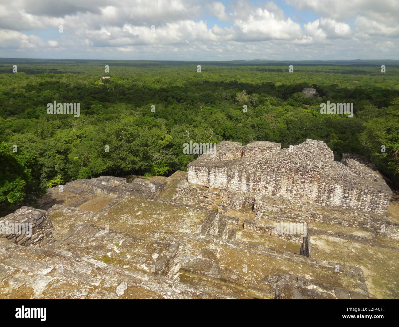 temple ruin at Calakmul, a mayan archaeological site in the mexican ...