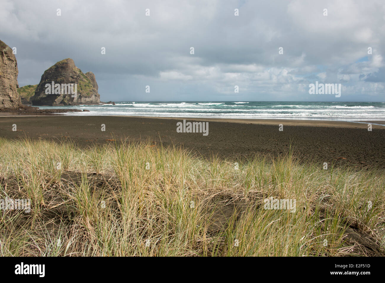 New Zealand, North Island, Auckland. Waitakere Ranges Regional Park ...