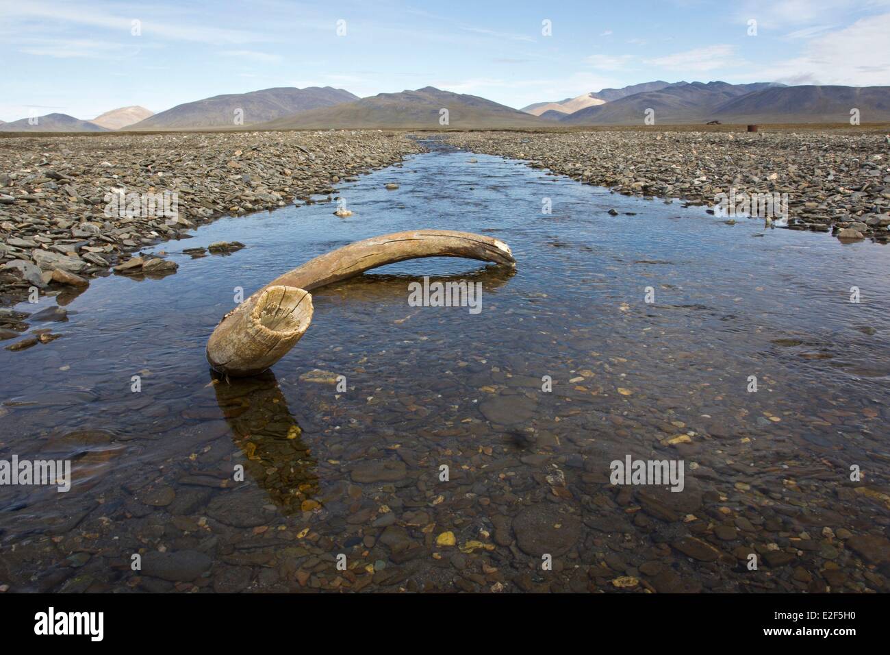Russia, Chukotka autonomous district, Wrangel island, Doubtful village ...
