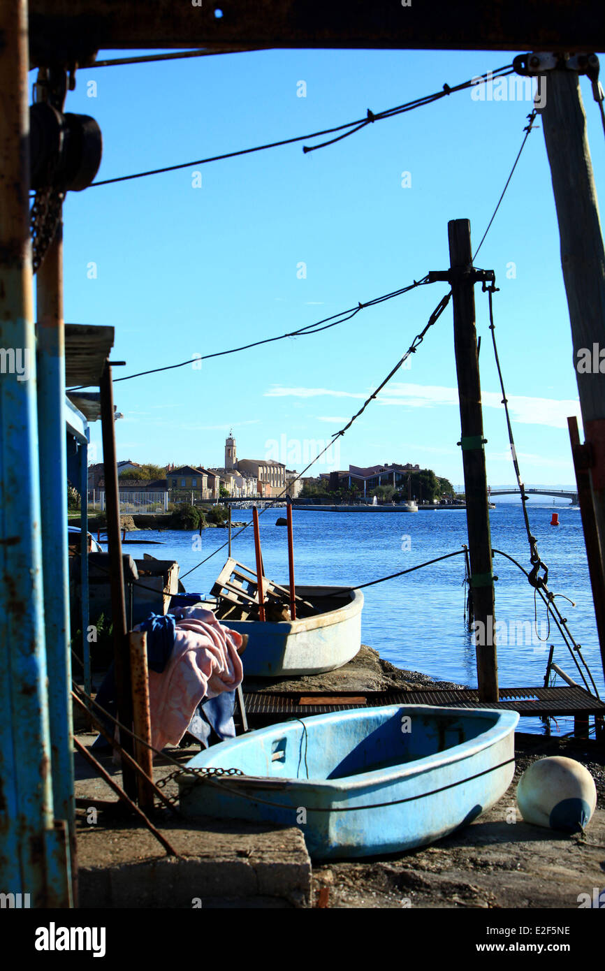 Mullet roe hi-res stock photography and images - Alamy