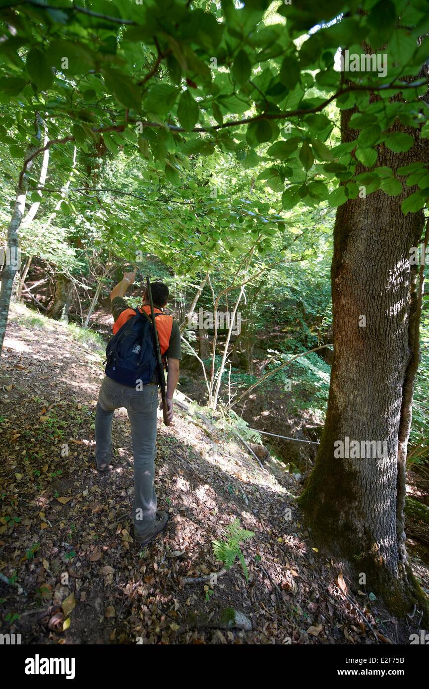 France, Haute Garonne (31), Central Pyrenees, Cazaux Layrisse, Boar ...