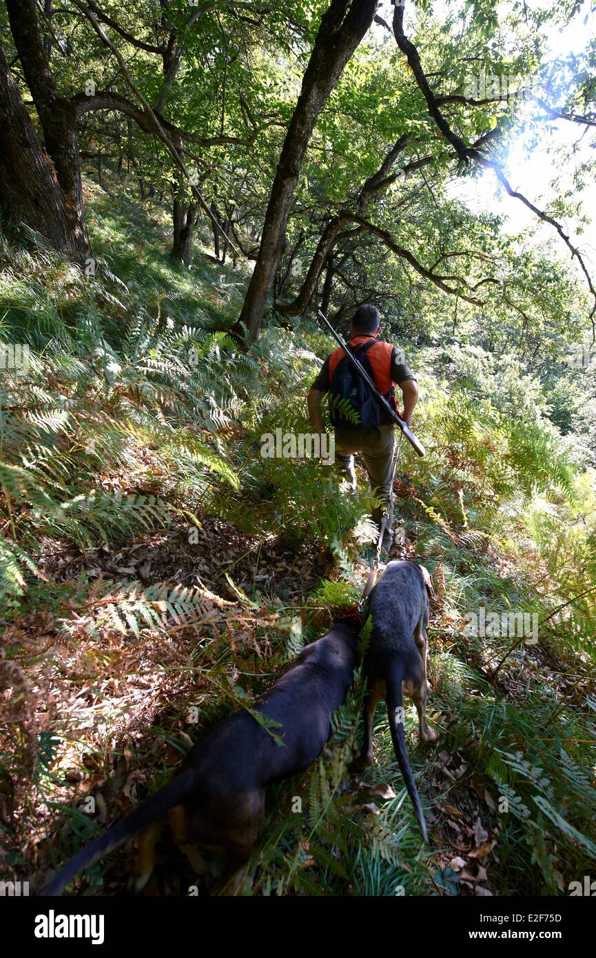 France, Haute Garonne (31), Central Pyrenees, Cazaux Layrisse, Boar ...