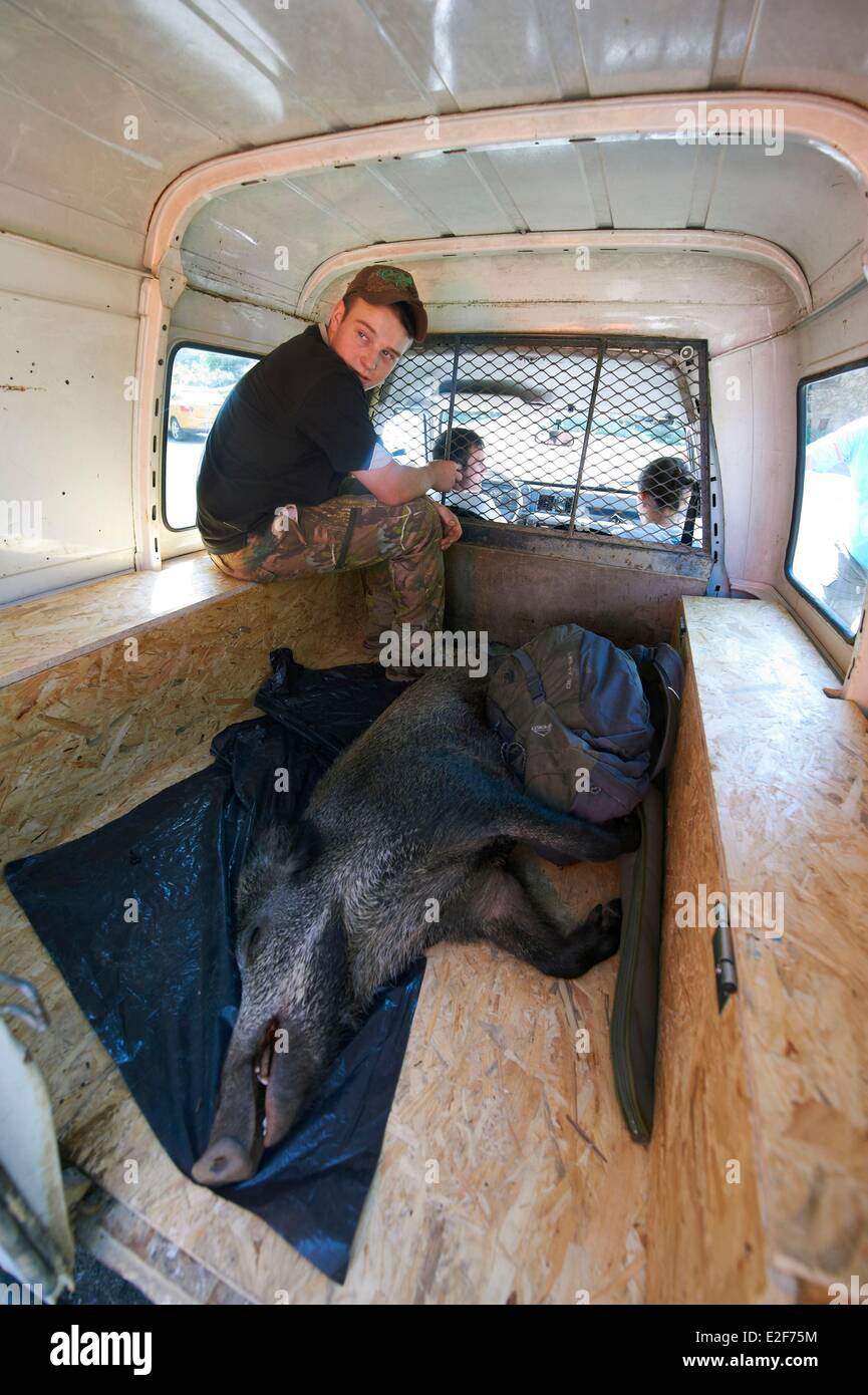 France, Haute Garonne (31), Central Pyrenees, Cazaux Layrisse, Boar ...