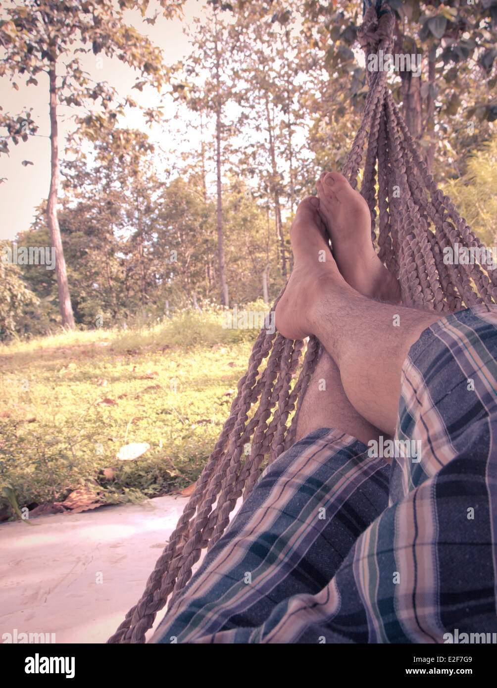 resting on hummock in forest Stock Photo - Alamy