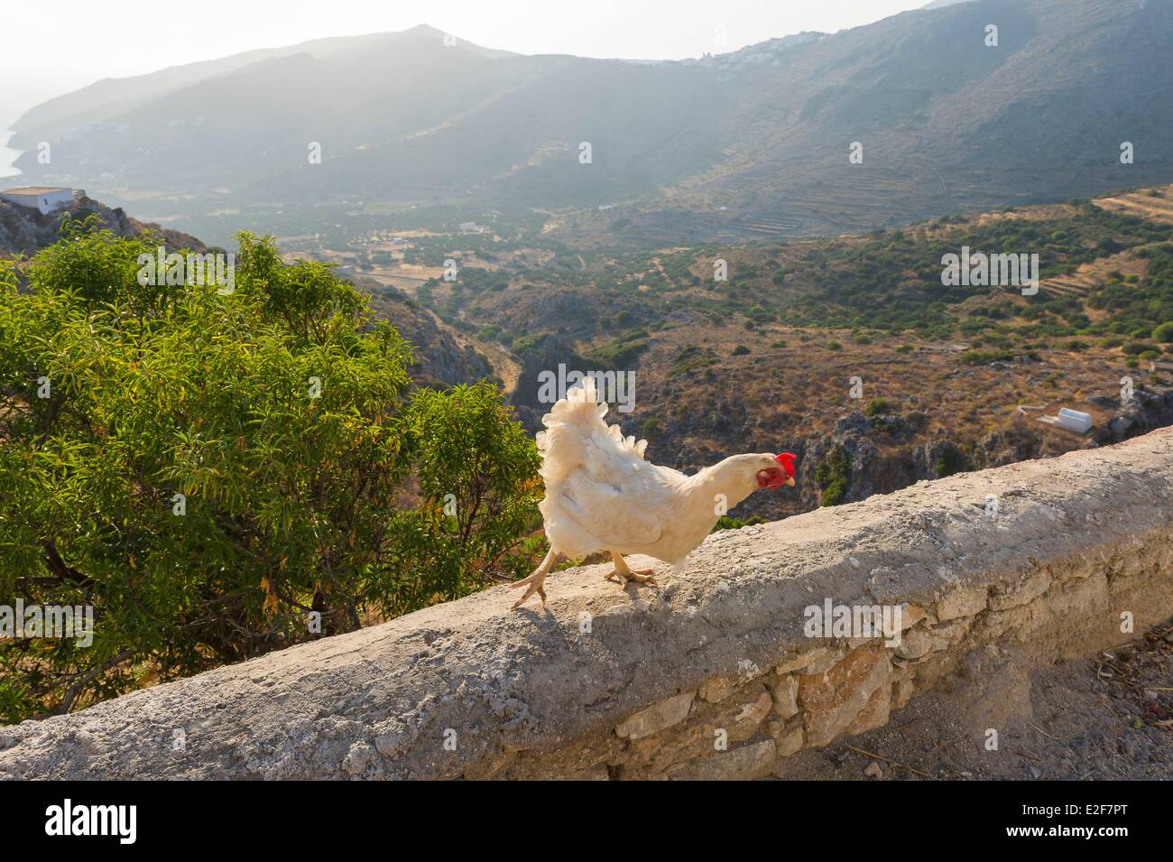 Greece, Cyclades islands, Amorgos island, Langada village Stock Photo ...
