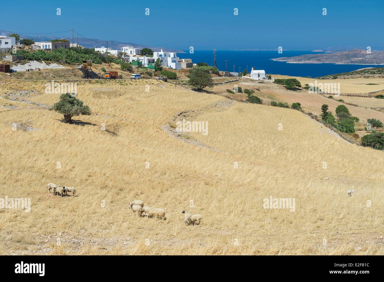 Greece, Cyclades islands, Small Cyclades, Iraklia island, Panagia ...