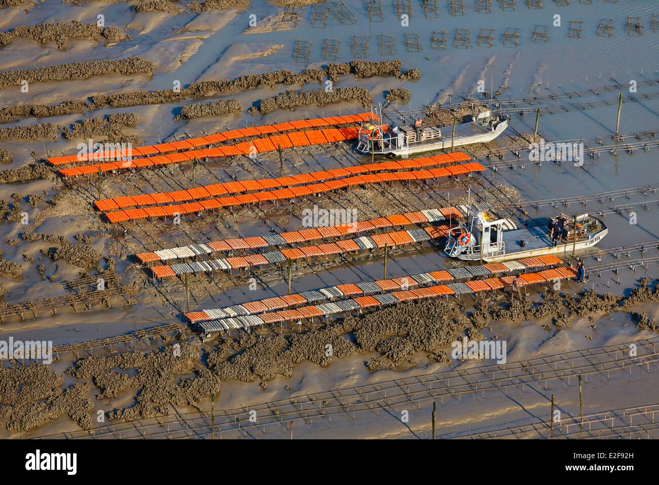 France, Charente Maritime, Port des Barques, oyster farm boat placing ...