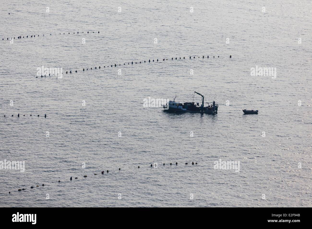 Mussel farm hi-res stock photography and images - Alamy