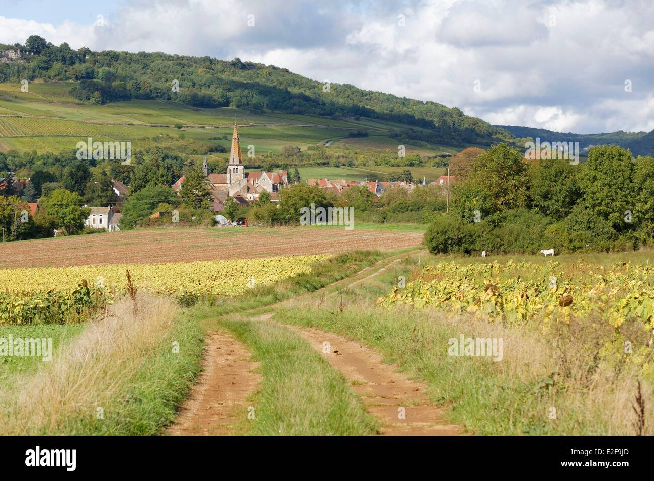 France, Cote d'Or, Nolay Stock Photo - Alamy