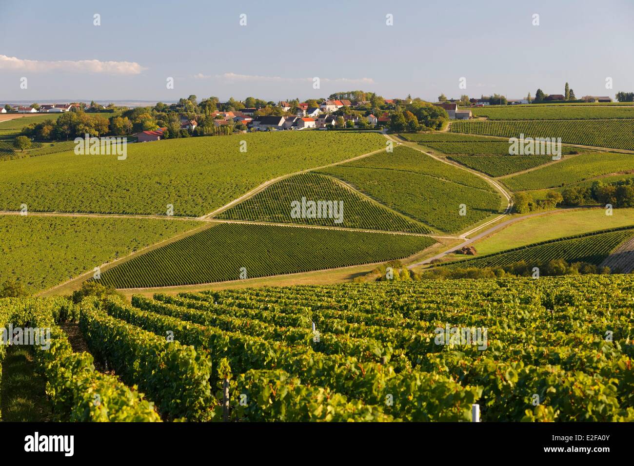 Chablis france vineyard hi-res stock photography and images - Alamy