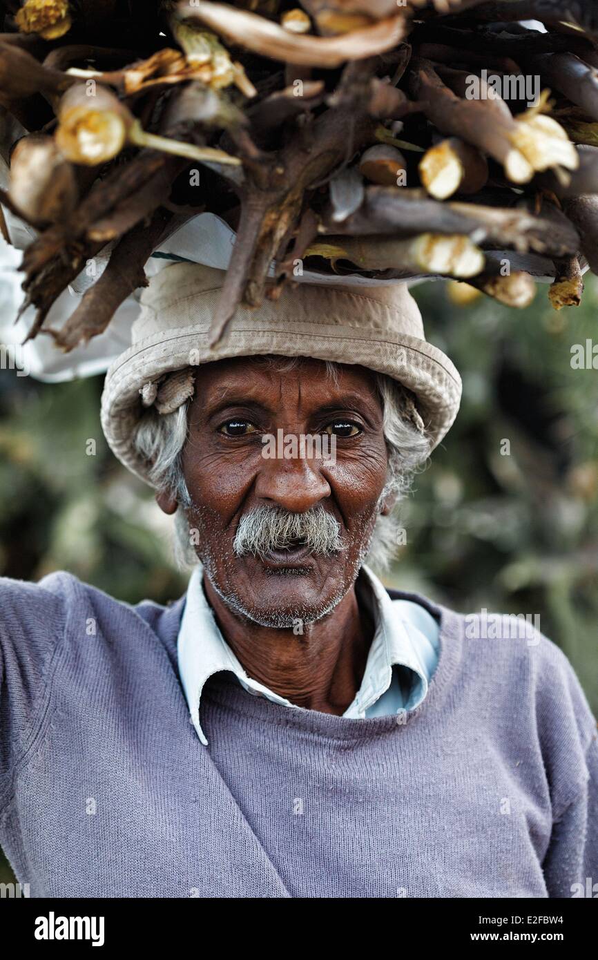 France Reunion island (French overseas department) Saint Pierre Bois ...