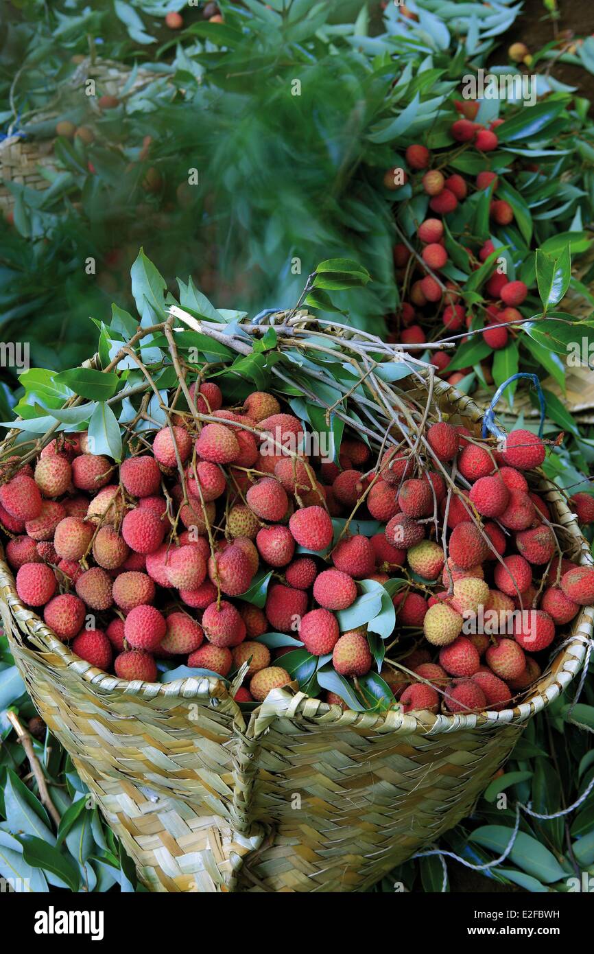 France, Reunion island (French overseas department), Saint Joseph ...