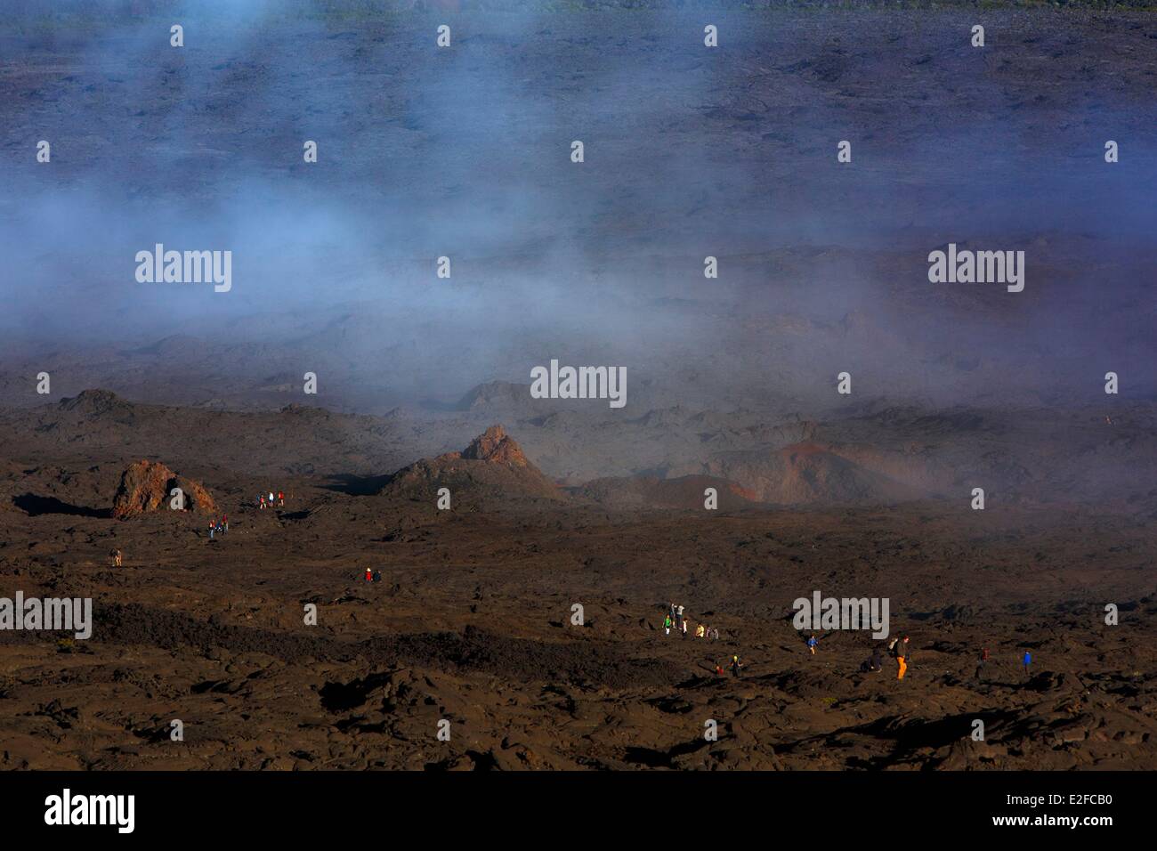 France Reunion island (French overseas department) Parc National de La ...