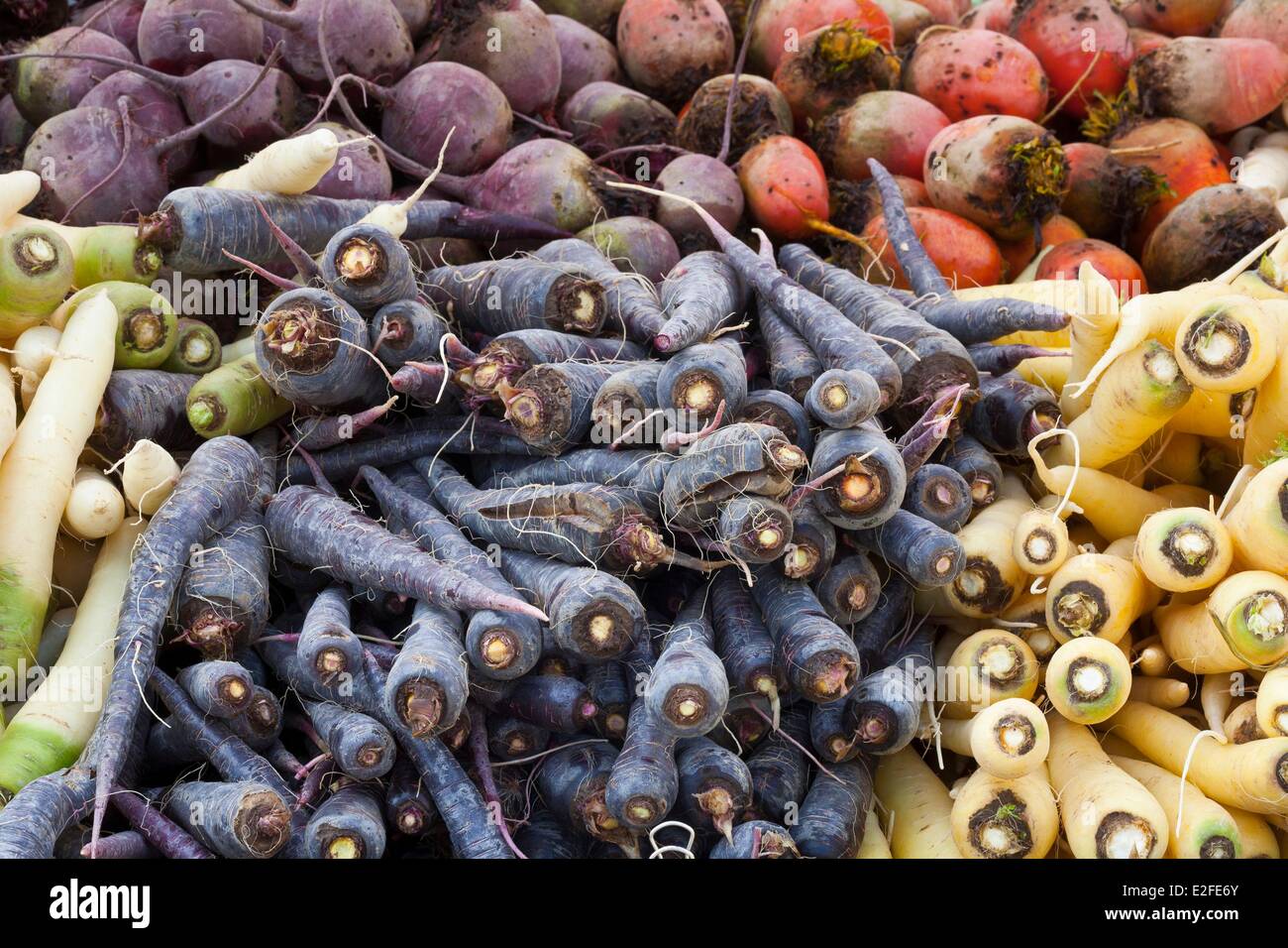 Portland park blocks hi-res stock photography and images - Alamy