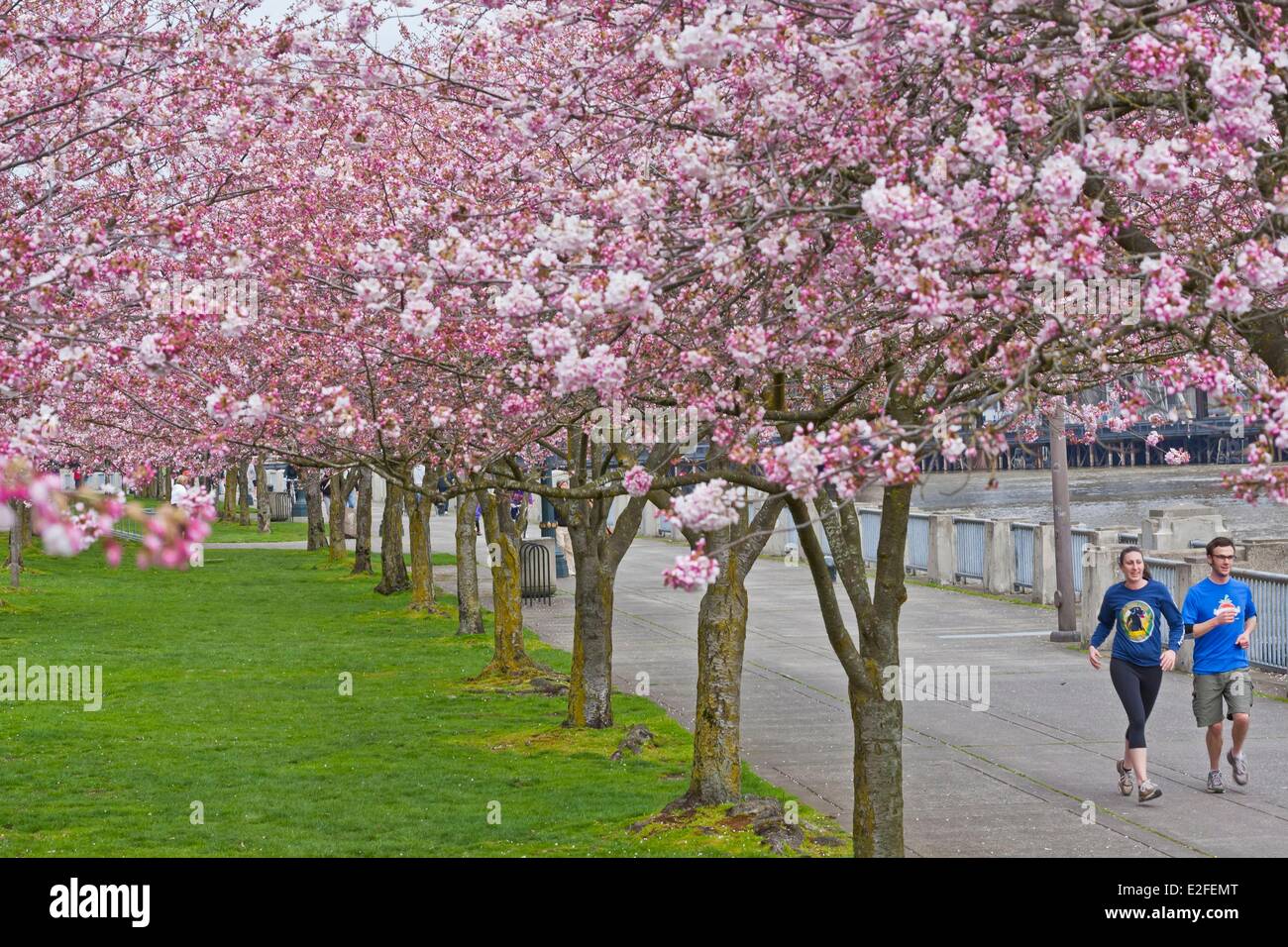 United States Oregon Portland Governor Tom McCall Waterfront Park park ...