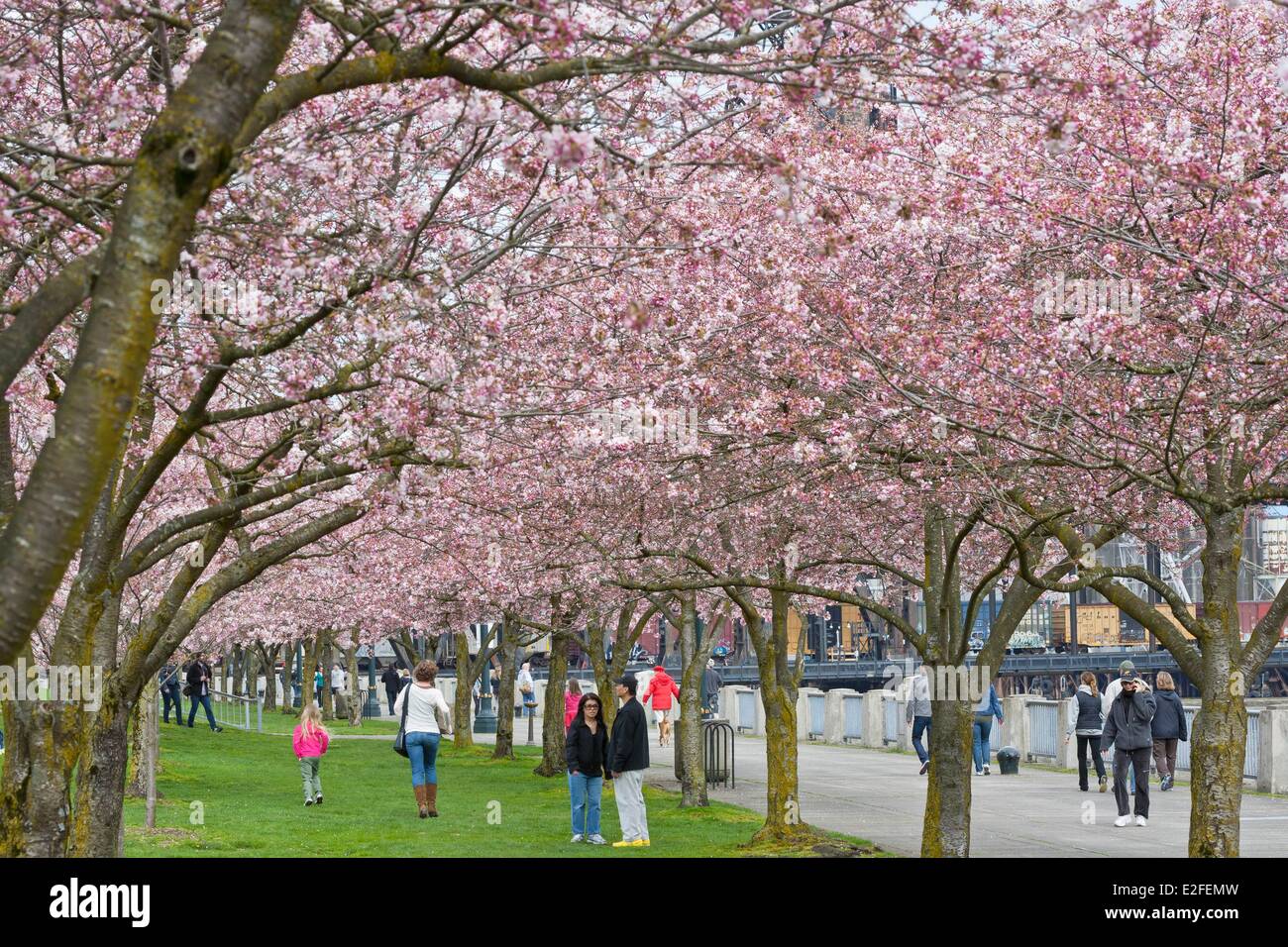United States Oregon Portland Governor Tom McCall Waterfront Park park ...