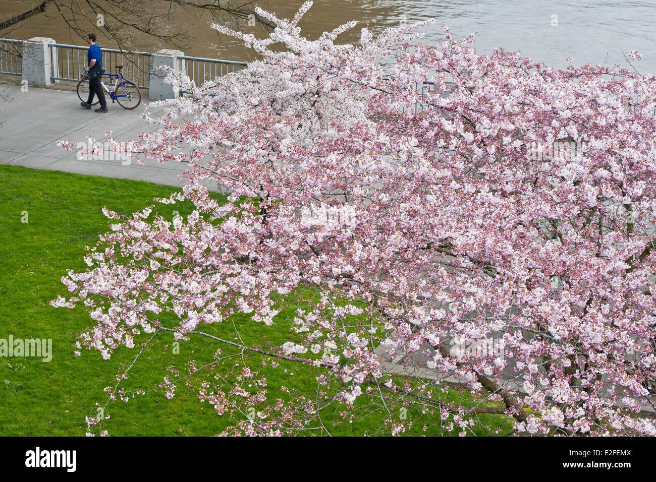 United States Oregon Portland Governor Tom McCall Waterfront Park park ...