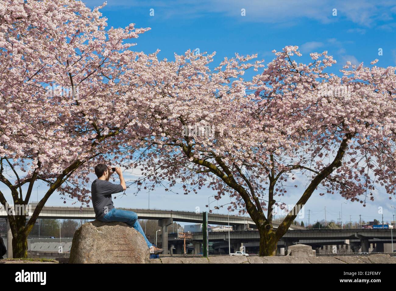 United States Oregon Portland Governor Tom McCall Waterfront Park park ...