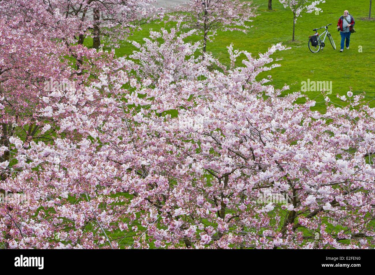 Portland oregon waterfront park hi-res stock photography and images - Alamy