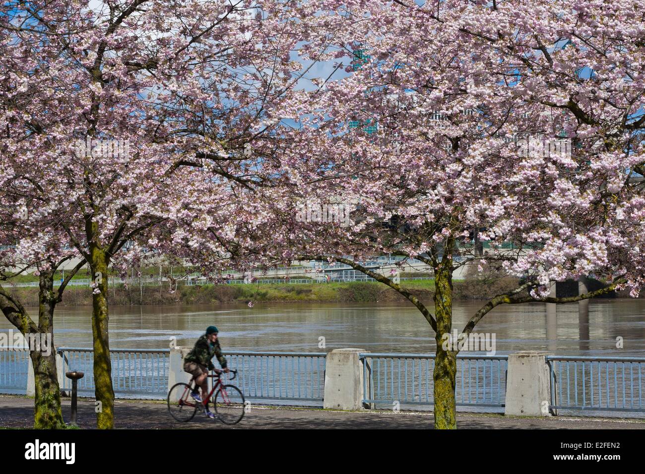 Governor tom mccall waterfront park hi-res stock photography and images ...