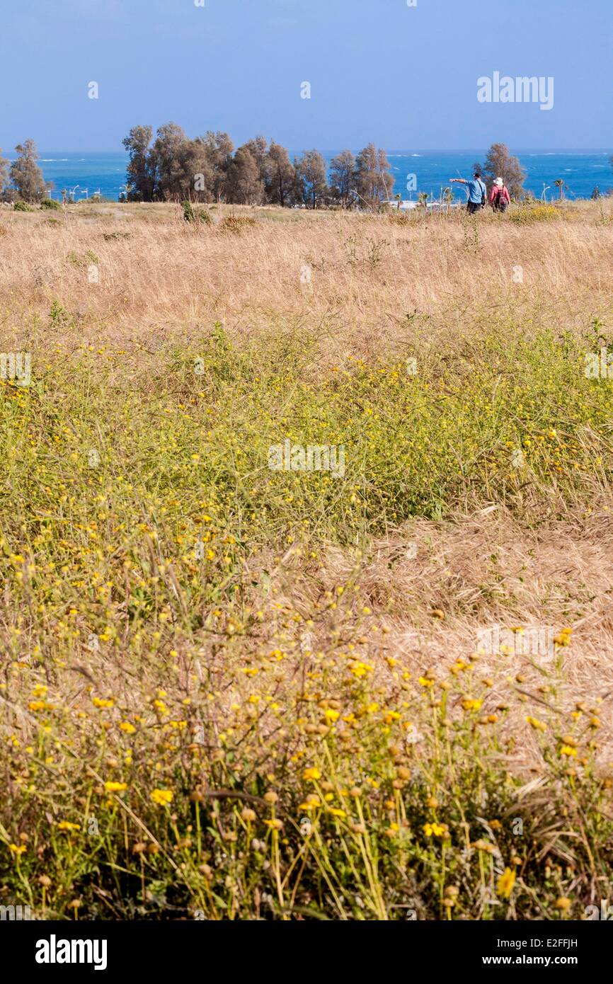 Cyprus, Paphos, field with in the background the Mediterranean Sea ...