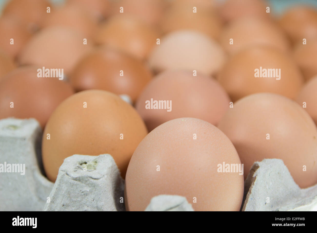 Fresh Eggs in Paper Containers Stock Photo - Alamy