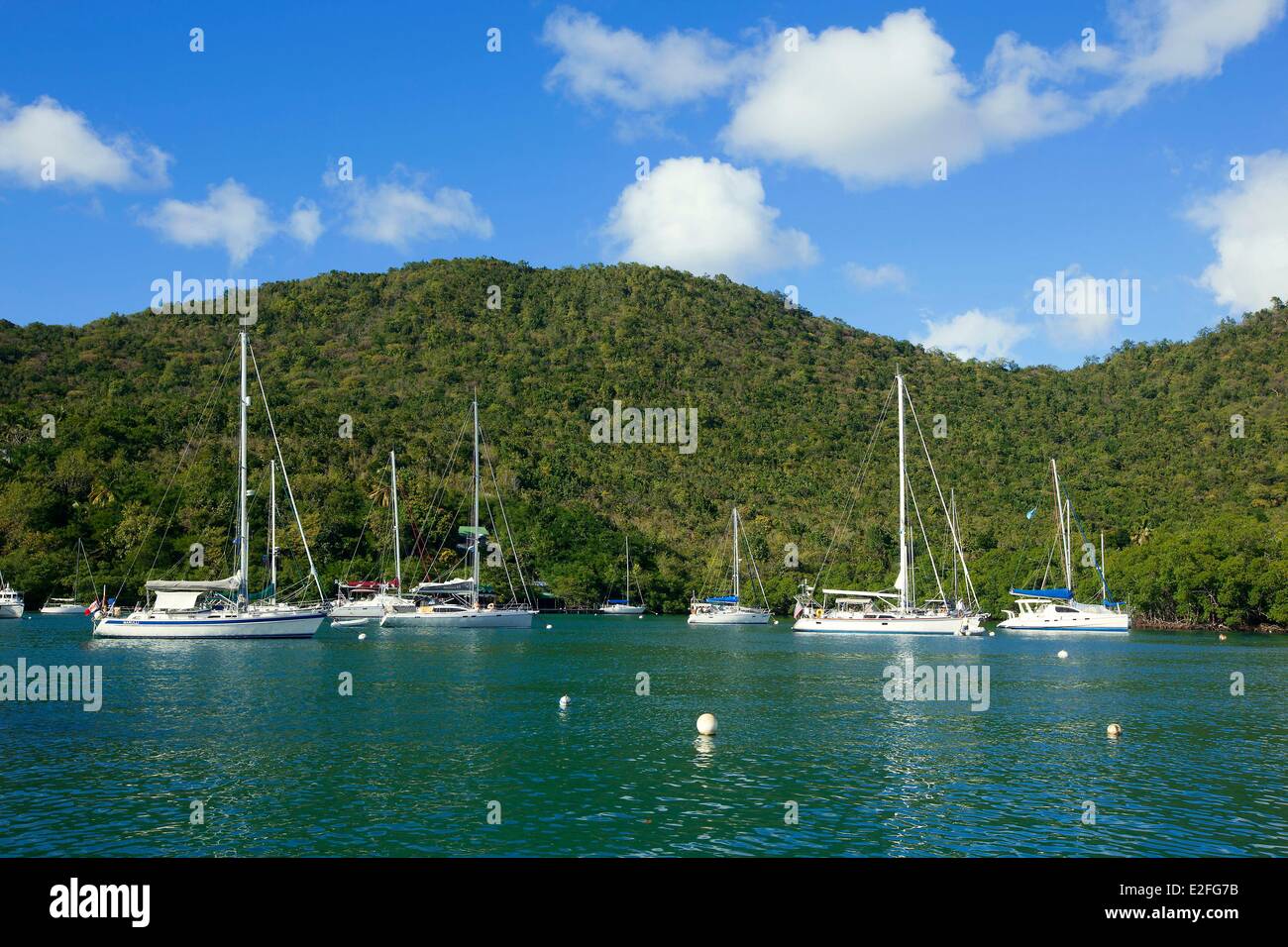 West Indies Caribbean, Islands of the Wind, Saint Lucia, North Island ...