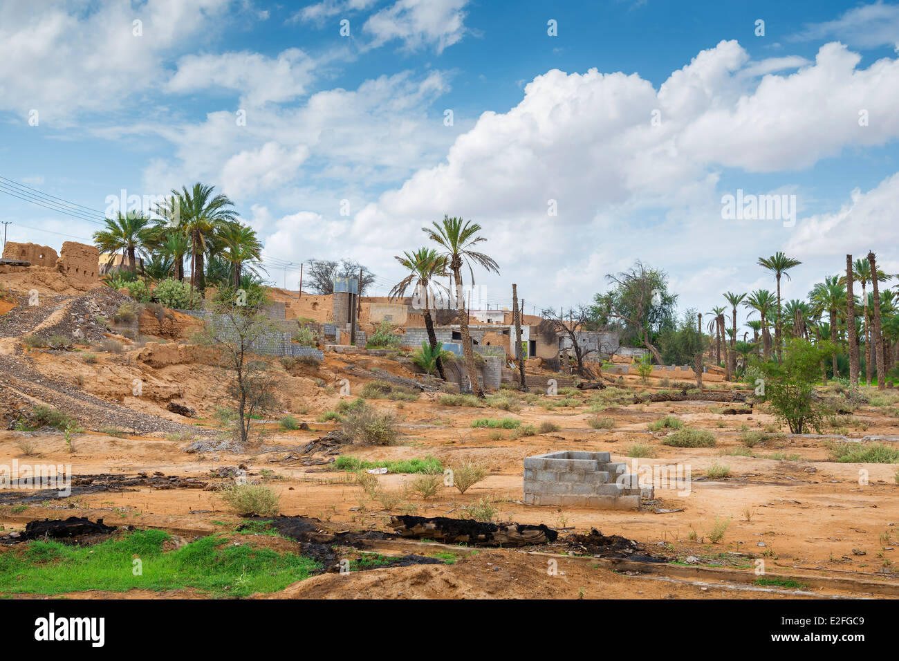 Image of oasis Al Haway in Oman with palms, sand dune and blue sky ...