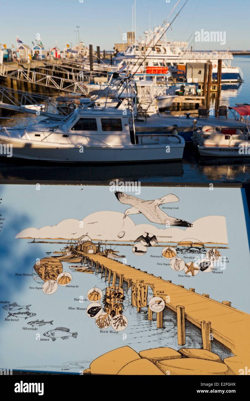 United States, Massachusetts, Cape Cod, Provincetown, port and ...