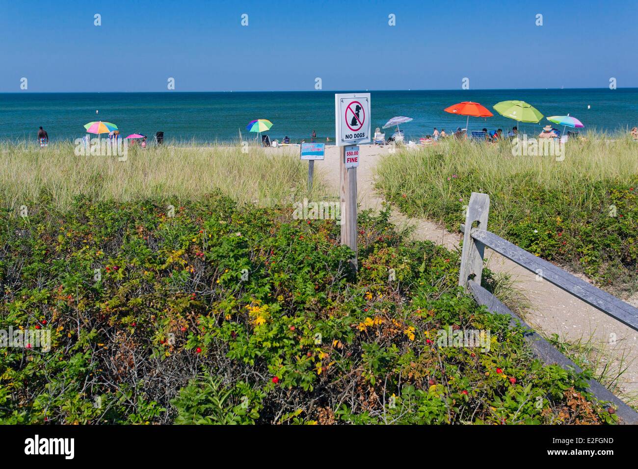 United States, Massachusetts, Cape Cod, Martha's Vineyard island, Oak ...
