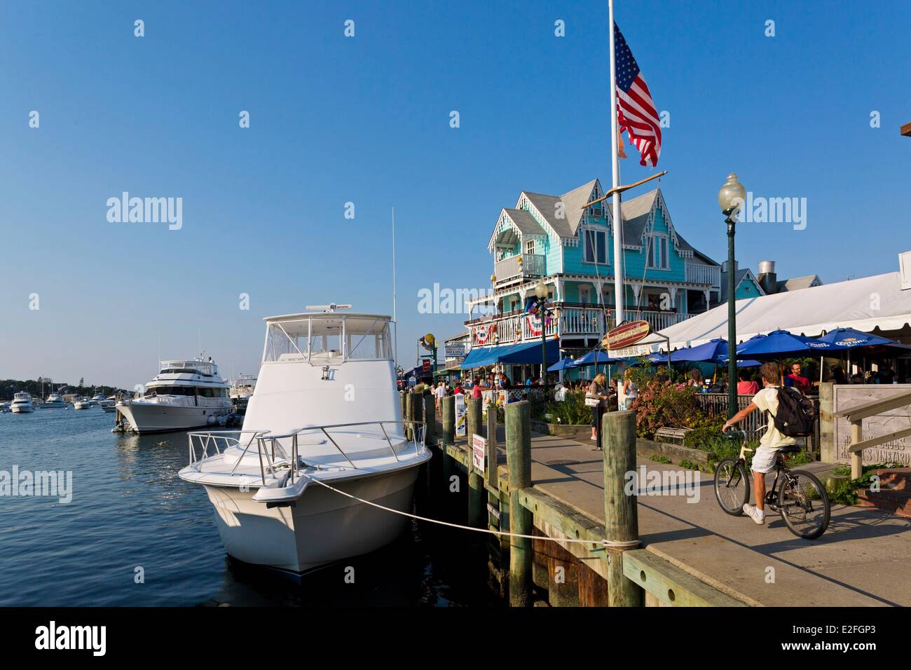 United States, Massachusetts, Cape Cod, Martha's Vineyard island, Oak ...