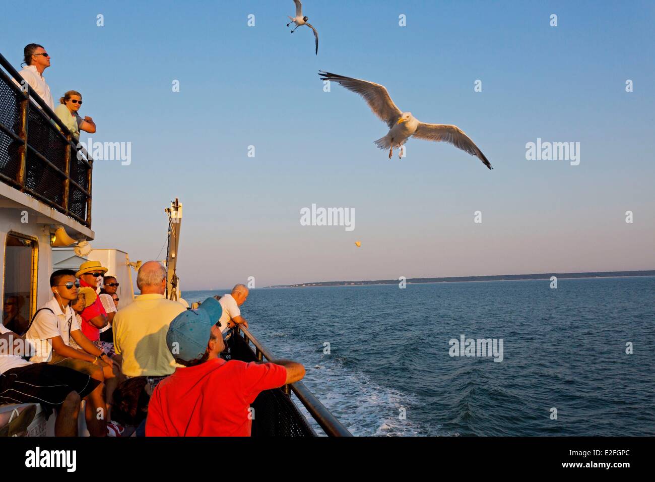 United States, Massachusetts, Cape Cod, Martha's Vineyard island, on ...