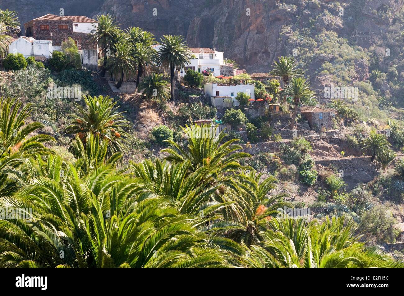Spain, Canary Islands, Tenerife Island, Parque Rural de Teno, small ...