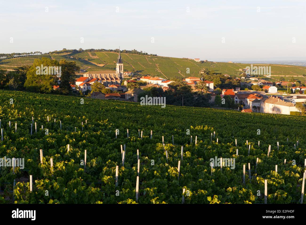 France, Rhone, Fleurie village, AOC Beaujolais vineyard Stock Photo - Alamy