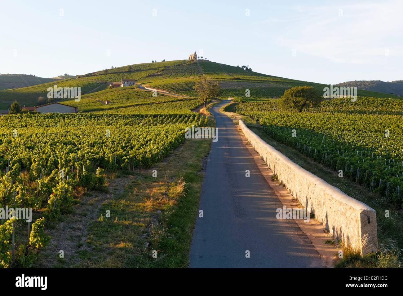 France, Rhone, Madone chapel, Fleurie village, Fleurie AOC Beaujolais ...